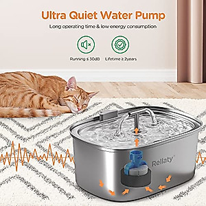 Cat Water Fountain Stainless Steel: 3.2L/108oz Pet Fountain Water Bowl Dog Drinking Dispenser Cat Feeding & Watering Supplies Animal Metal Kitty Spout for Cats Inside with 4 Replacement Filters