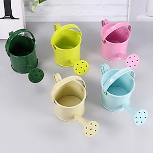 Hemoton Metal Watering Can, 5pcs Simple Kids Watering Can, Children Garden Watering Bucket Iron Watering Tin Can Sprinkling Kettle for Garden Plants Flower 5.9x2.95x2.95 in (Mixed Color)