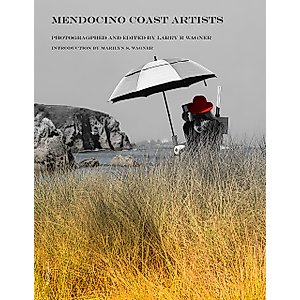 Mendocino Coast Artists