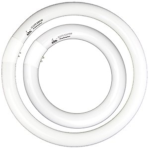FC8T9/CW 22W and FC12T9/CW 32W Cool White Round Fluorescent Light Bulb Set, 8 inch T9 22 Watts & 12 inch 32 Watts Circular Bulbs Pack, Circline Kitchen and Bath Light Bulbs, CRI 80, 4100K, G10q Prong