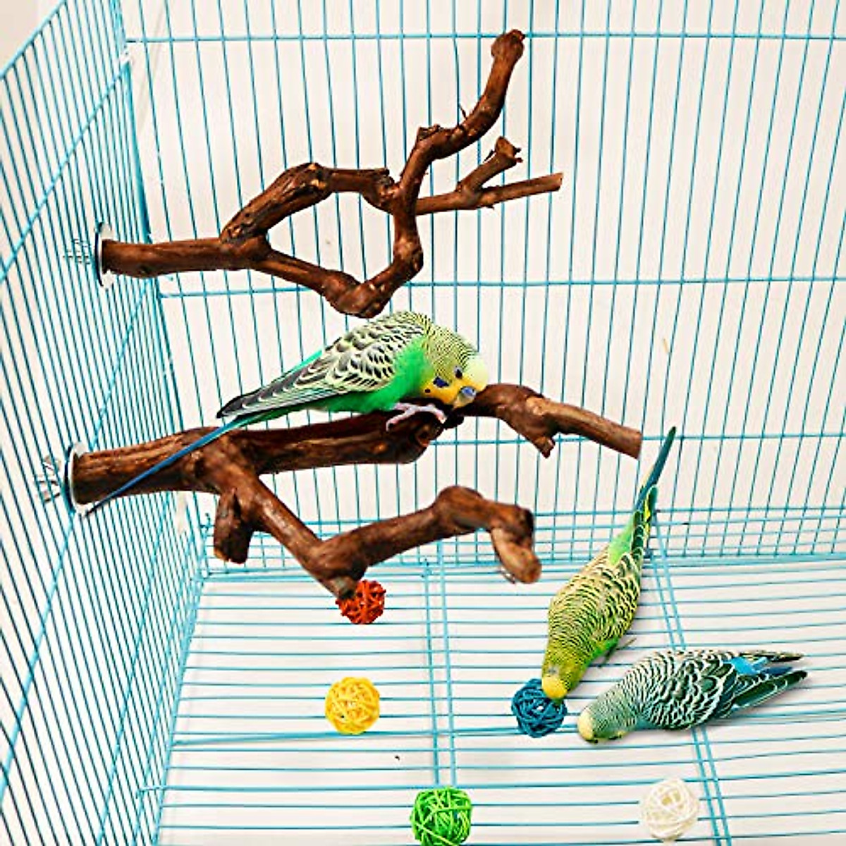 2 Packs Parrot Bird Perches,Natural Wild Grape Stick Grinding Paw Climbing Standing Cage Accessories Toy for 3-4 Parakeets, Budgies, Lovebirds,Cockatiels (Style-1)