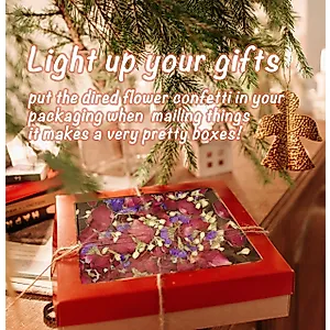 Dried Flower Petals,Dried Rose Petals for Weddings, 20 Cups(3.5Oz) Biodegradable Flower Petals Confetti,Flower Girl Proposal,Table Decorations Valentine's Day