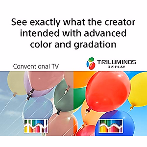 Sony XBR-48A9S 48-inch MASTER Series BRAVIA OLED 4K Smart HDR TV - 2020 Model