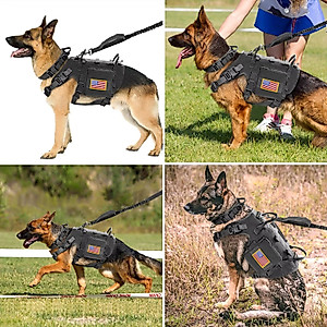 Forestpaw Tactical Dog Harness for Large Dogs,Tactical Dog Collar with Bungee Leash Set,No Pull Military Dog Harness for Dog Walking Training,Adjustable for Medium Large Dogs,Black S