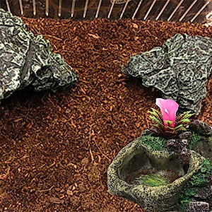 Resin Reptile Platform Artificial Tree Trunk Reptile Food Dish Food Water Bowl Lizard Crawling Platform for Lizard Turtle Gecko Water Frog Snake Amphibian Other Reptile