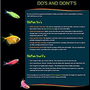 GloFish 77372 Plant for Aquarium Decoration, Fluorescent Green,Large