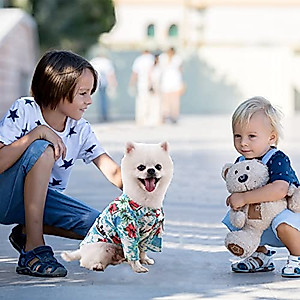 4 Pieces Pet Summer Shirts Hawaiian Style Dog T-Shirts Floral Coconut Tree Printed Puppy Shirt Summer Beach Dog Apparel Cat Outfit Shirt Breathable Pet Cool Clothes for Small to Medium Pets (XX-Large)