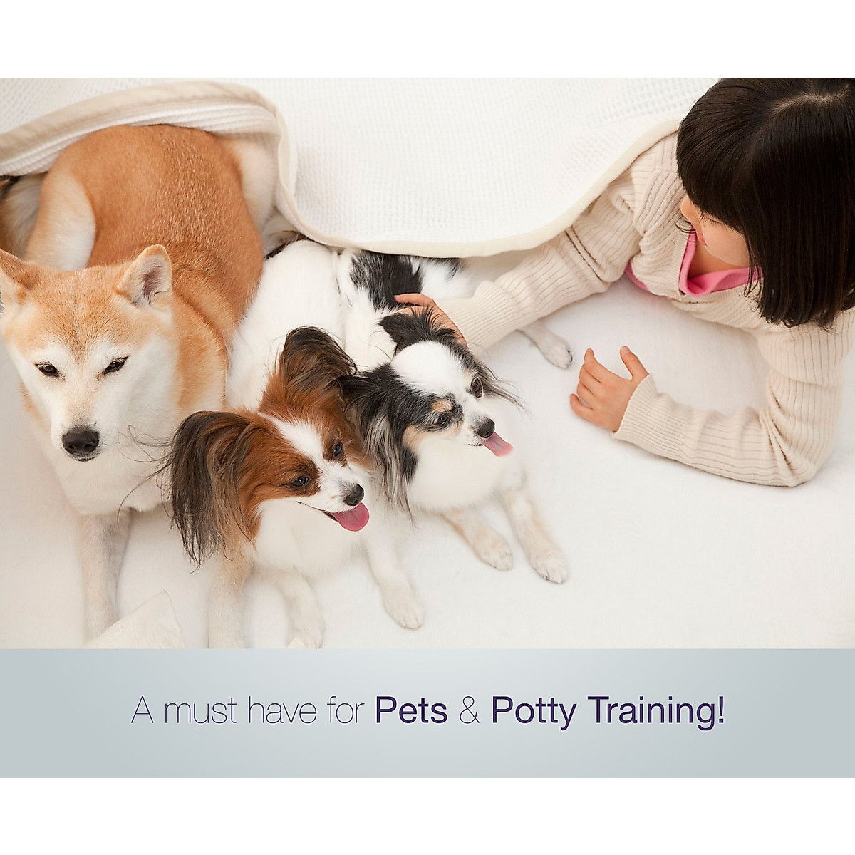 Sleep Factory - Mattress & Sofa Bed Sleeper Protector | Waterproof, Premium 100% Jersey Cotton Top, Cot Size (30x80), 6” Depth, White