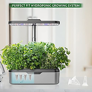 50Pcs Grow Baskets for Hydroponics Supplies, Seed Pods Basket Replacement, Hydroponic Net Pots Pods for Grow Sponges Garden, Slotted Cups Plant Growing Containers for Herb