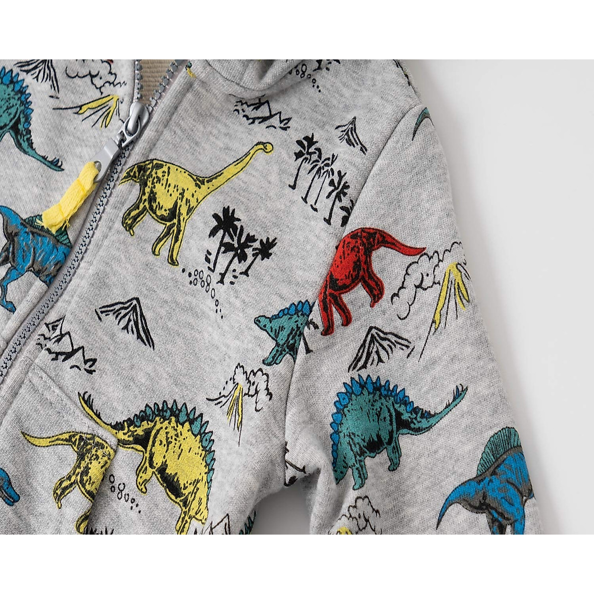 LeeXiang Toddler Boys Full Zip Dinosaur Hoodies Comfortable Sweatshirt (Dinosaur, 4-5T)