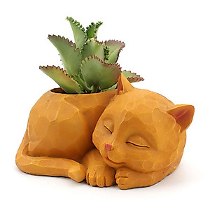 Hemoton Resin Succulent Planter Pot Sleeping Cat Flower Pot Animal Plants Bonsai Holder Flower Container Desktop Flower Vase Table Art Statue for Home Office Desktop Decor