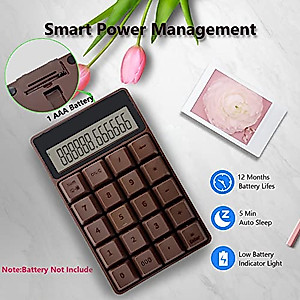 Seaciyan Wireless Number Pad, Ergonomic Cute Mini Portable Digital Keyboard, Cordless External Numeric Keypad with Financial Accounting Calculator (Brown)