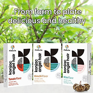 Hethstia Shirataki Noodle, Konjac Ramen(61.38oz), 6 Pack Flavored Angel Hair, Variety Flavor