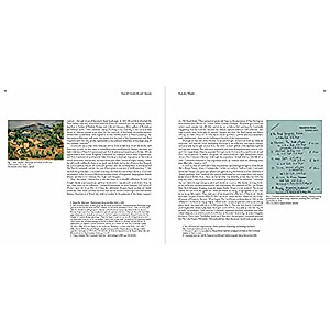 Cézanne: Masterpieces from the Courtauld