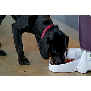 Cat Mate C3000 Automatic Dry Food 3-Meal Feeder, BPA Free for Cats & Small Dogs