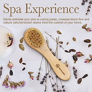 Nevlers Natural Boar Bristle Dry Body Brush Set | Detachable Massage Dry Brushing Body Brush | Long Wooden Handled Exfoliating Body Scrubber, Shower Brush for Body, Dry Brush Face Brush Exfoliator