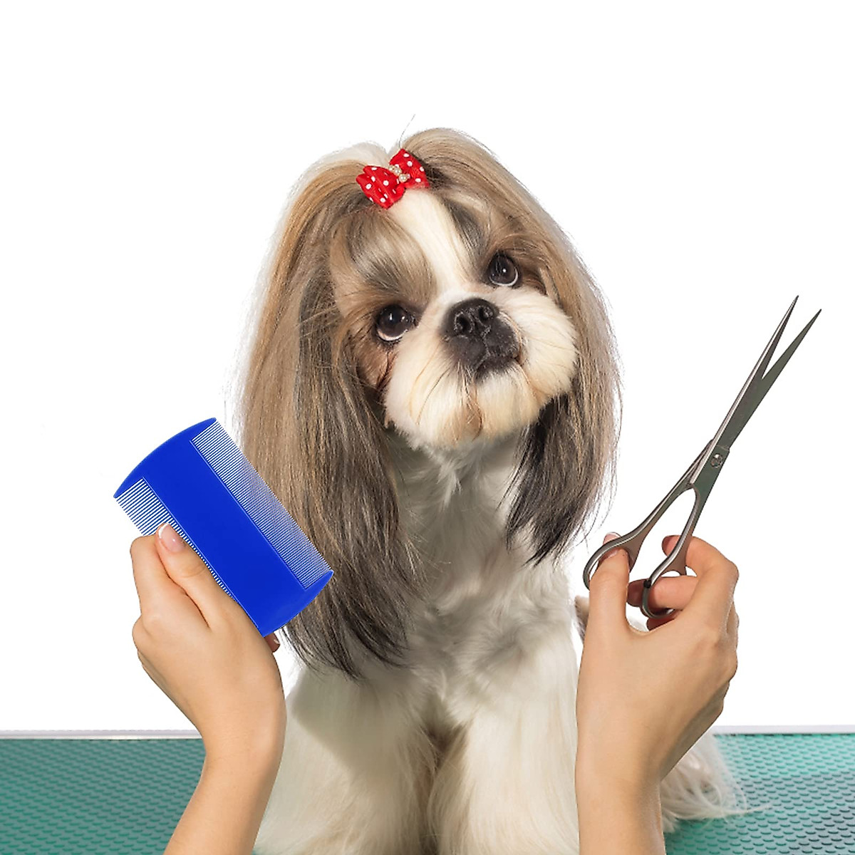 Molain, 12 Pieces Flea Lice Combs Cat Dog Grooming Comb, Double Side, Plastic, for Pet Owners, Unisex, All Hair Types, White, Green, Light Blue, Dark Blue, Orange, Pink