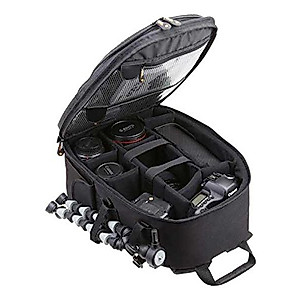 Amazon Basics Backpack for SLR Cameras and Accessories-Black