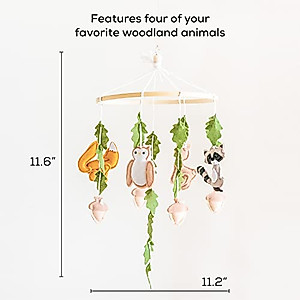 First Landings Woodland Baby Mobile for Crib - Baby Nursery Mobiles - Woodland Nursery Decor Theme - Gender Neutral Baby Stuff - Animals Forest Nursery Decor Baby Mobile - Woodland Baby Stuff