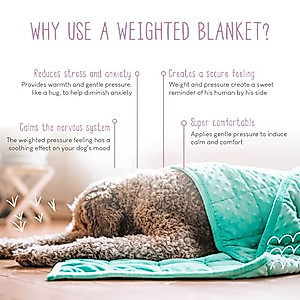 Nappy Puppy - Weighted Dog Blanket | Specially Designed for Anxious Dogs | Extra Comfortable | Premium Minky Fabric | Hypoallergenic Glass Beads | Aqua | Large 6 lb