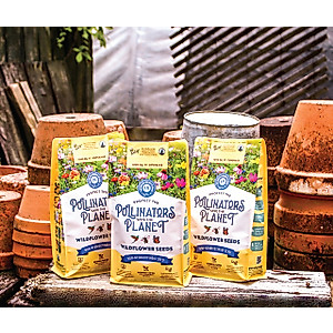 BUZZY Wildflower Pollinator Seed Mix (1lb Bag), 18 Pollinator-Friendly Varieties, Protect The Pollinators & Save The Planet, Coneflower, Sunflower, Calendula, Cosmos, & More, Growth Guaranteed