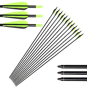 Huntingdoor Archery 31" Fiberglass Hunting Arrows Fiberglass Target Practice Arrows with Screw-in Tips for Recurve or Compound Bow(Pack of 12)