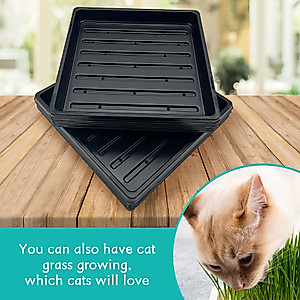 Apatal 1010 Seed Starting Trays, 12 Pack Garden Growing Trays with Drain Holes Reusable Microgreens Seed Plastic Tray Plant Germination Tray