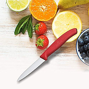 Victorinox VIC-6.7631 Swiss Classic Paring 3¼"" Serrated Spear Point Blade 5/8"" Width at Handle Red, Multicolor, m