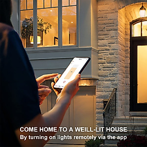 Sengled Zigbee Smart Edison Bulbs, Smart Hub Required, Work with SmartThings and Echo with Built-in Hub, Voice Control with Alexa and Google Home, Amber Warm 2000K LED E26 Edison Bulb, 60W Eqv. 6 Pack