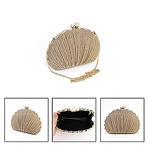 Felice Ann Women Mini Seashell Evening Bag Clutch Handbag Chain Strap Cross-body Shoulder Bag,Pleated Golden
