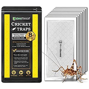 MaxGuard Extra Large Cricket Traps (8 Traps) | Non-Toxic Extra Sticky Glue Board Pre-Baited Cricket Attractant | Trap & Kill House Crickets, Insects, Spiders, Bugs |