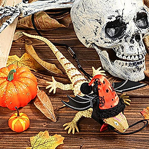 Xuniea 2 Sets Halloween Thanksgiving Bearded Dragon Lizard Leash Harness Hat Set with Halloween Pumpkin Hat, Reptile Harness Leash Black Hat Bowtie Set for Bearded Dragon Lizard Reptile Clothes