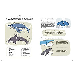 Ocean Anatomy: The Curious Parts & Pieces of the World under the Sea