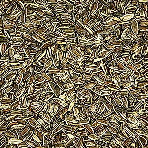 Kaytee Striped Sunflower Wild Bird Food 5 Pounds