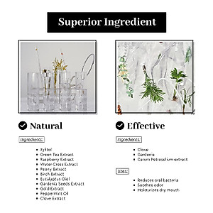 Dr. Pauhl’s Breath Spray - Moisturizing & Refreshing Dry Mouth Spray With Azalea Peach 17ml (0.6 Oz) - 270 Sprays