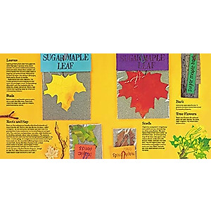 Red Leaf, Yellow Leaf