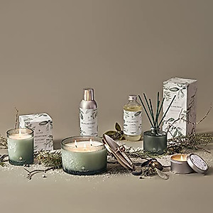 Thymes Highland Frost Travel Tin Candle - Petite Scented Candle with Sage, Eucalyptus, & Cypress Needle Home Fragrance - Silver Candle (2.5 oz)