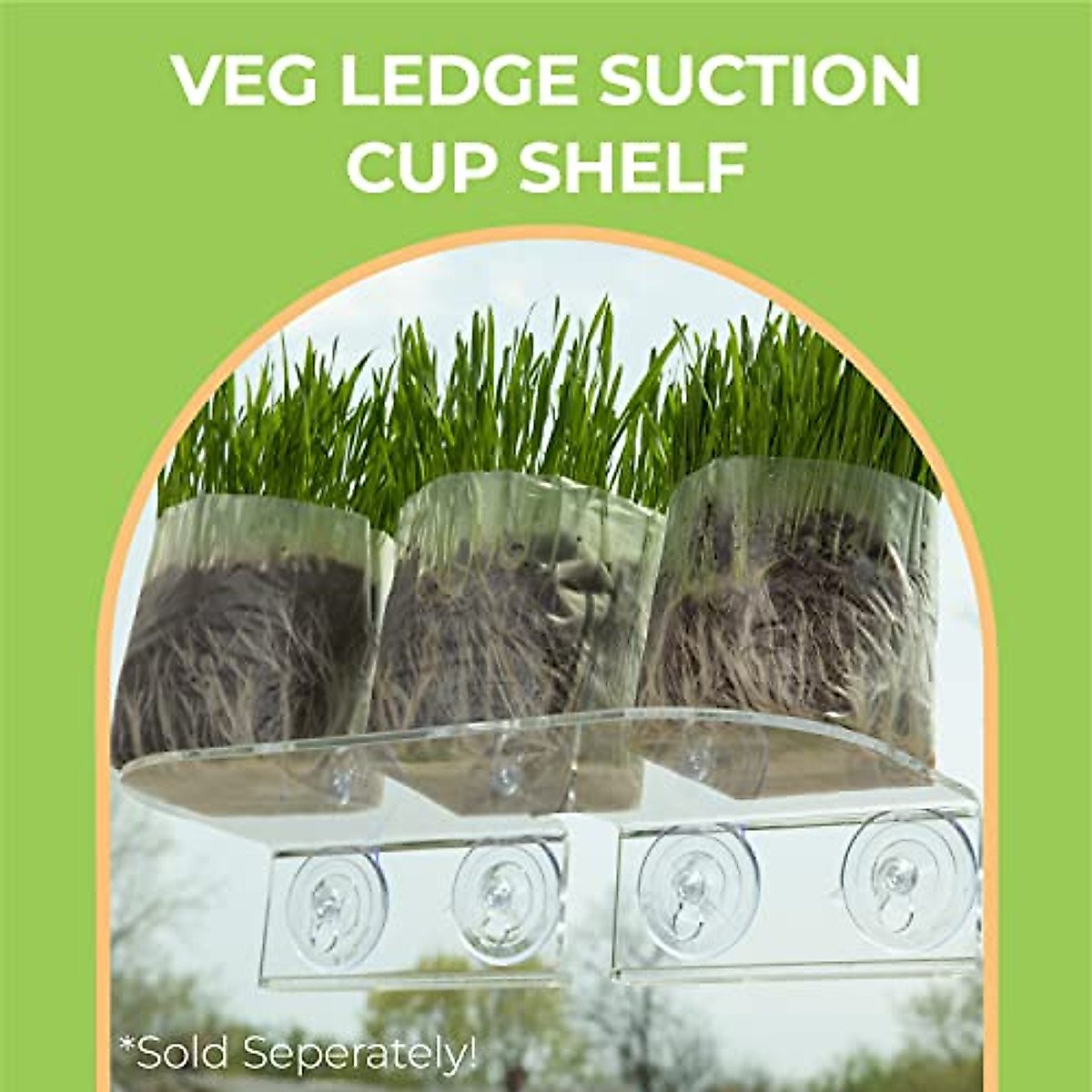 Window Garden Expanding Organic Fiber Soil 12qt and Hydrating Bag, Potting Soil for Planting Indoors or Outdoors, Plant Soil for Any Seed Starting Kit, Microgreens or Succulent, Easy-to-Store Soil