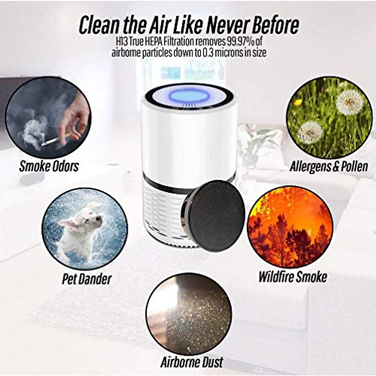 Flintar H13 True HEPA Replacement Filter, Compatible with LV-H132 Air Purifier, Part # LV-H132-RF, 2-Pack