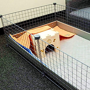 GuineaDad Original Liner - Orange Fleece Guinea Pig Bedding - Reusable Guinea Pig Cage Liner - Extra Absorbent with Waterproof Bottom and Burrowing Pocket - Small Pet Supplies - 2x3 C&C