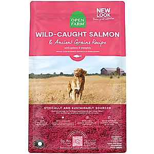 Open Farm Wild-Caught Salmon & Ancient Grains Dry Dog Food, Sustainably Fished Salmon Recipe with Wholesome Grains and No Artificial Flavors or Preservatives, 4 lbs