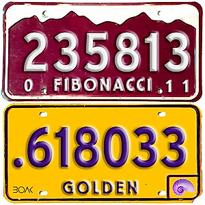 CafePress Fibonacci & Golden Mean Mug Ceramic Coffee Mug, Tea Cup 11 oz