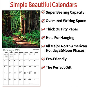 2024 2025 Wall Calendar, July 2024 - December 2025, Wall Calendar National Park, 12" x 24" Opened,Full Page Months Thick & Sturdy Paper for Gift Perfect Calendar Organizing & Planning
