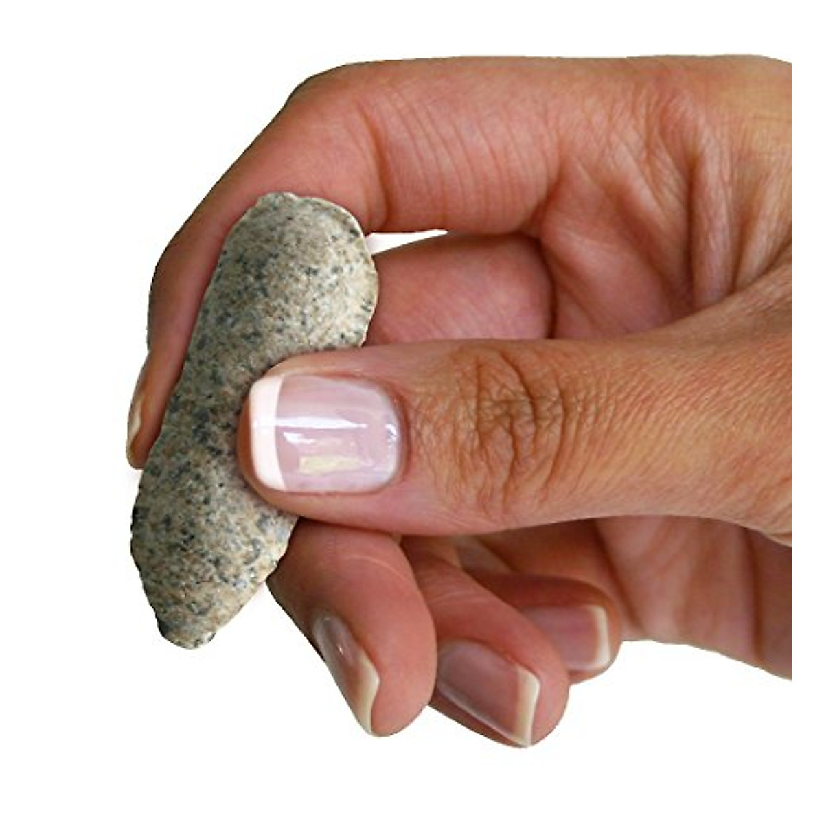 Jobe’s Fertilizer 06000, Spikes, For All Tomato Plants, 18 Spikes