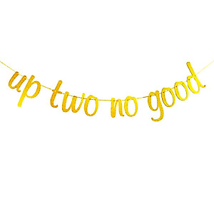 Up Two No Good Banner for 2nd Birthday Anniversary Party Decorations Gold Glitter