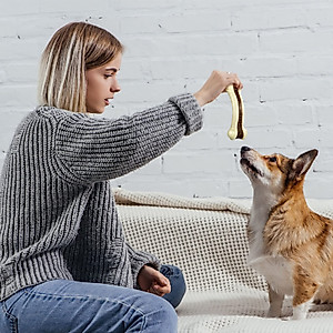 Sosation Beef Flavor Dog Chew Toy, 4 Pcs Nylon Chew Bones for Aggressive Chewers, Large (Dental Health, Large Breeds)