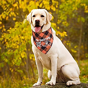 ADOGGYGO Thanksgiving Dog Bandanas, Orange Plaid Pet Scarf, Premium Cotton Fabric, Multiple Sizes Offered, Fall Thanksgiving Bandanas for Small Medium Dogs Pets (Small, Thanksgiving)