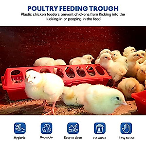 Dispenser Pigeon Dish 3pcs Bird Feeder Trough Pigeon Feeding Dish Quail Feeder Trough Food for Breeding Farming (Assorted Color) Small Feeder Poultry
