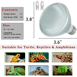 ExoRepti Reptile Heat Lamp Bulb Greenhouse Warming Bulb Reptile Light for Lizard, Turtle, Bearded Dragon, Hedgehogs, Snake Amphibians, Chicks, With 2 Bulb Beads (75 Watt). New Replaceable Bulbs Design