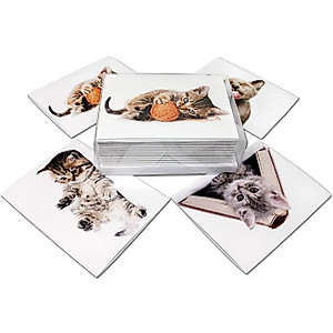 Small World Greetings Playful Kitten Cards 12 Count - Blank Inside with Envelopes - A2 Size (5.5”x4.25”) - Cat Stationery - All Occasion, Thank You, Birthday, and More